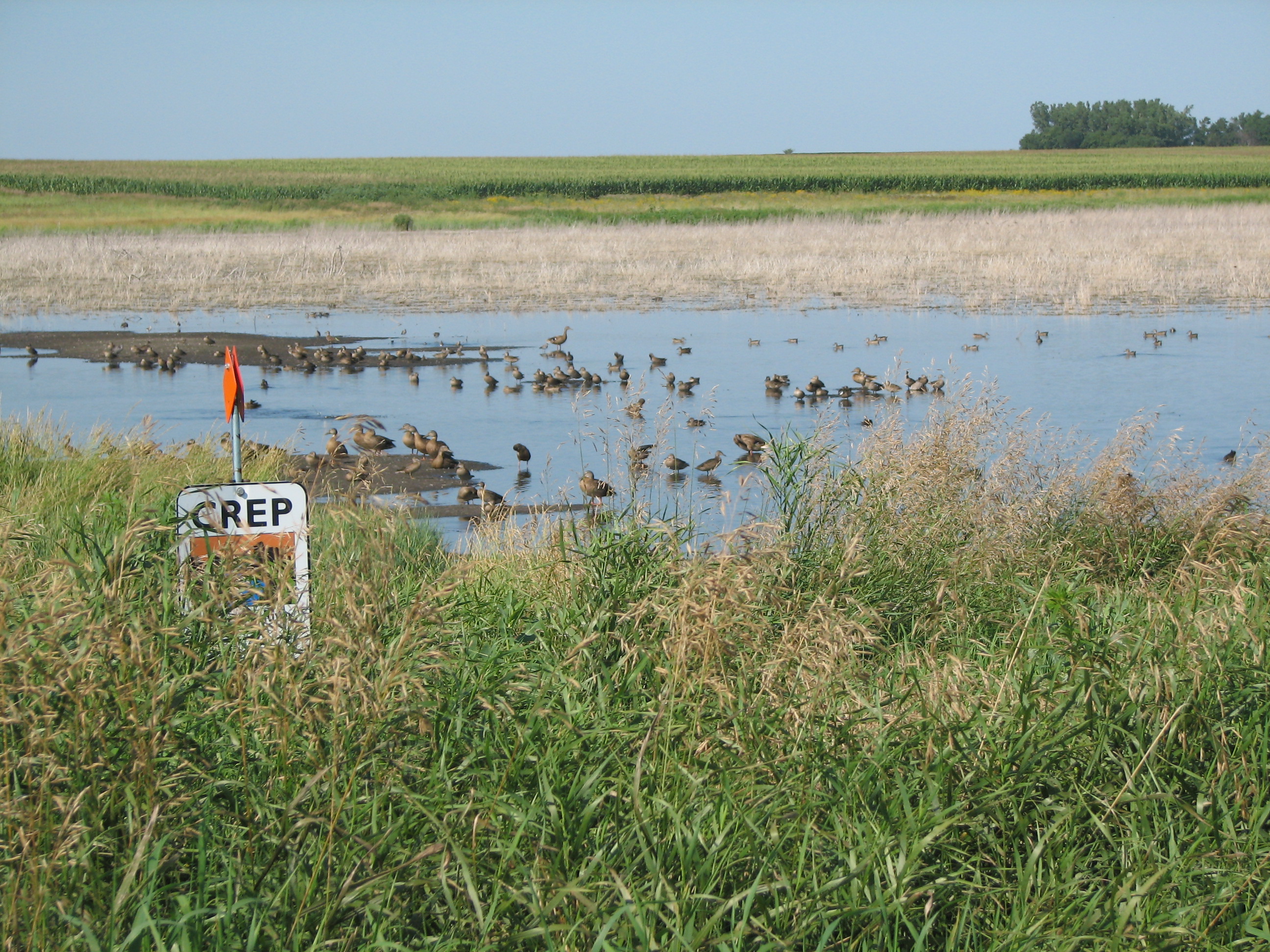 Other Funds | MN Board of Water, Soil Resources